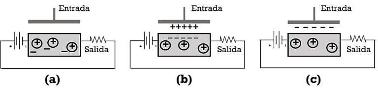 75 años del transistor, la invención más importante del siglo XX (2 ...